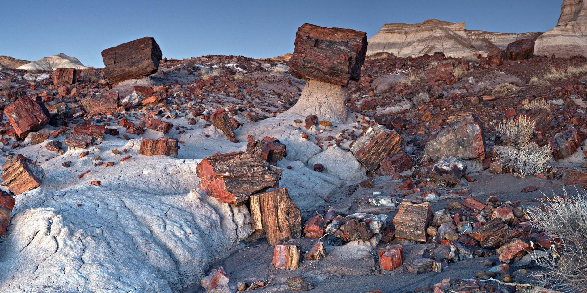 STEM Travel in Arizona | Educational Trips in AZ