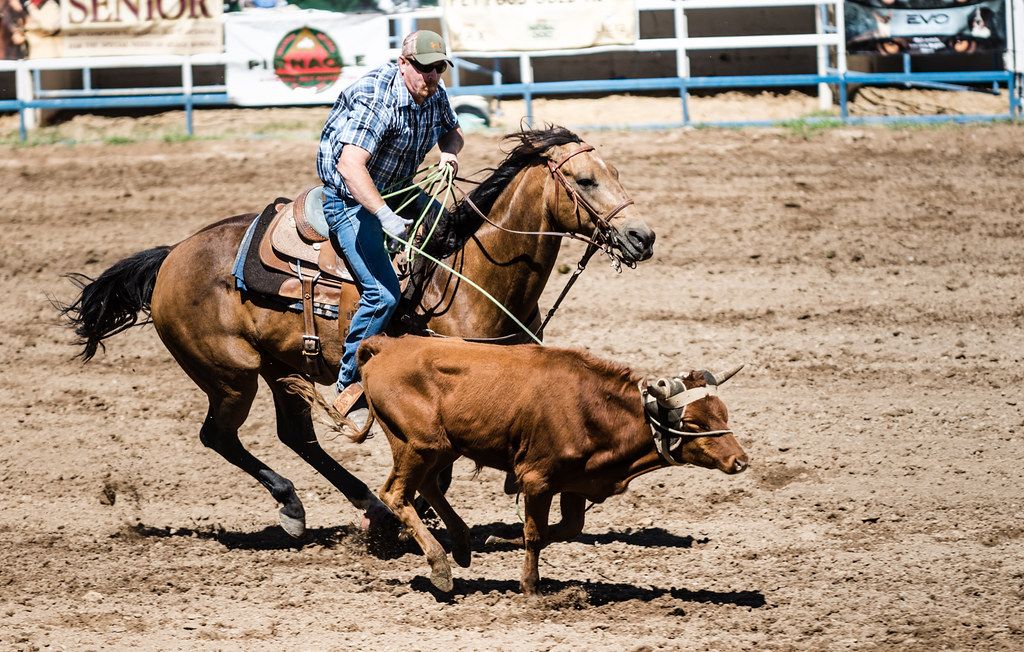 What Is Arizona Known For? 10 Iconic Places & Experiences You Can't Miss